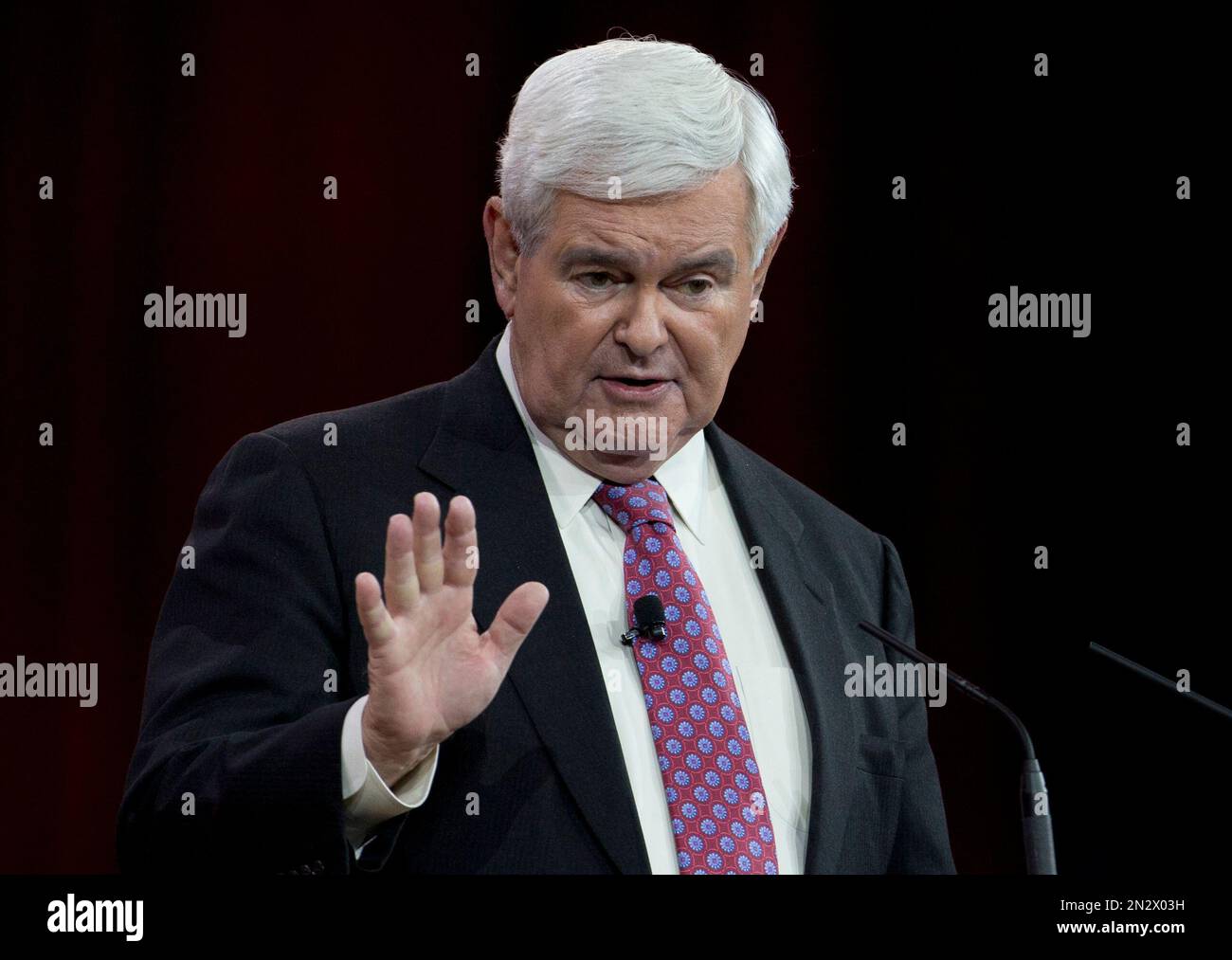 Former House Speaker Newt Gingrich Speaks During The Conservative