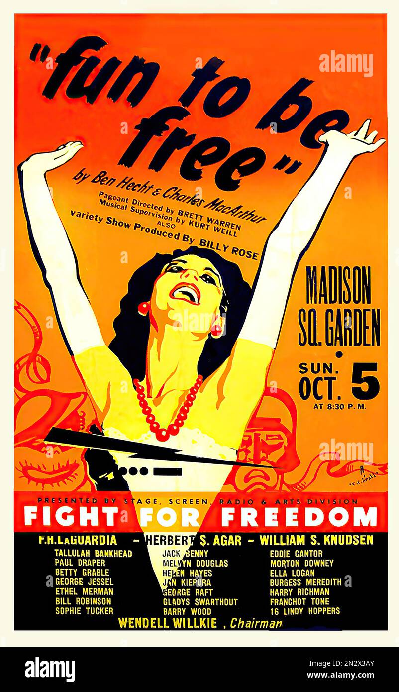 1941 fight for freedom! Madison Square Garden - World War II - U.S ...