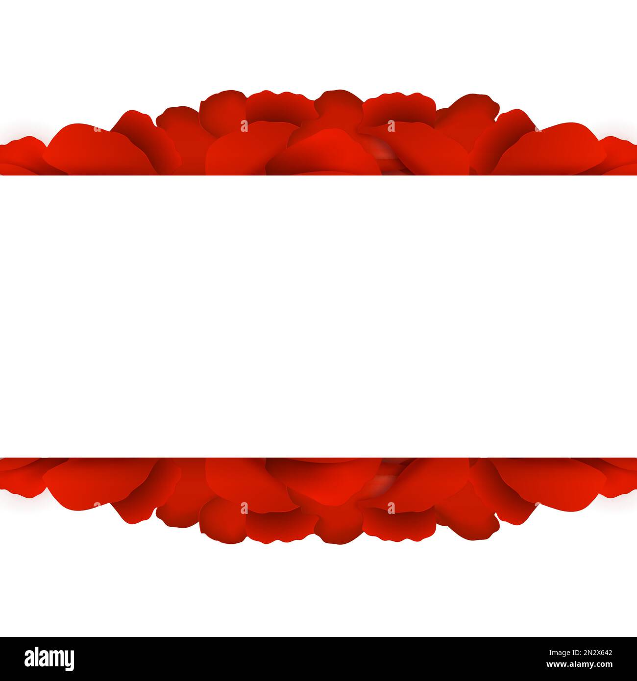 Single red rose banner Stock Vector Images - Alamy