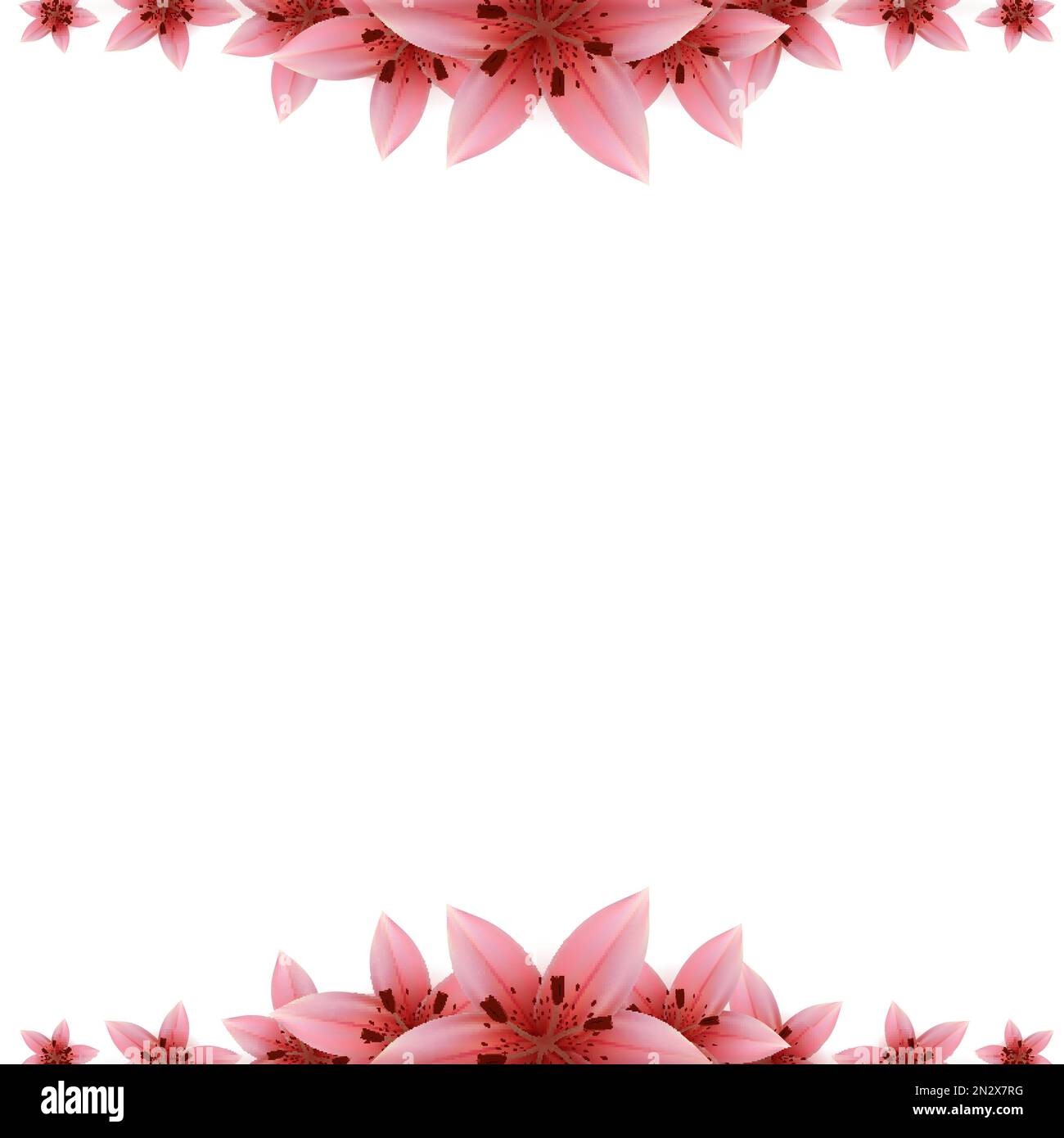 White lilly black background Stock Vector Images - Alamy