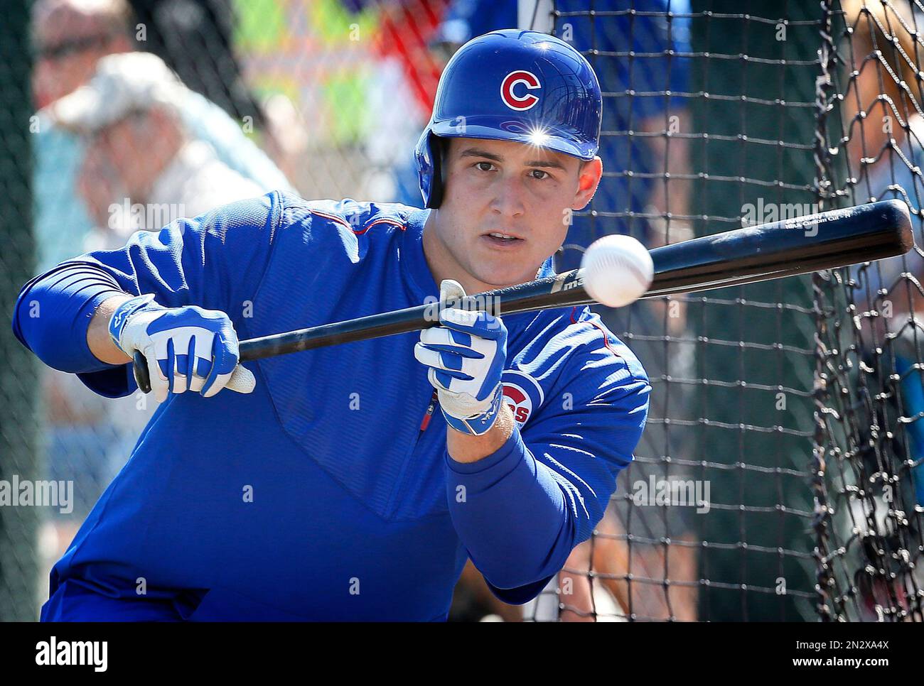 Chicago Cubs Anthony Rizzo bunts during a spring training baseball ...