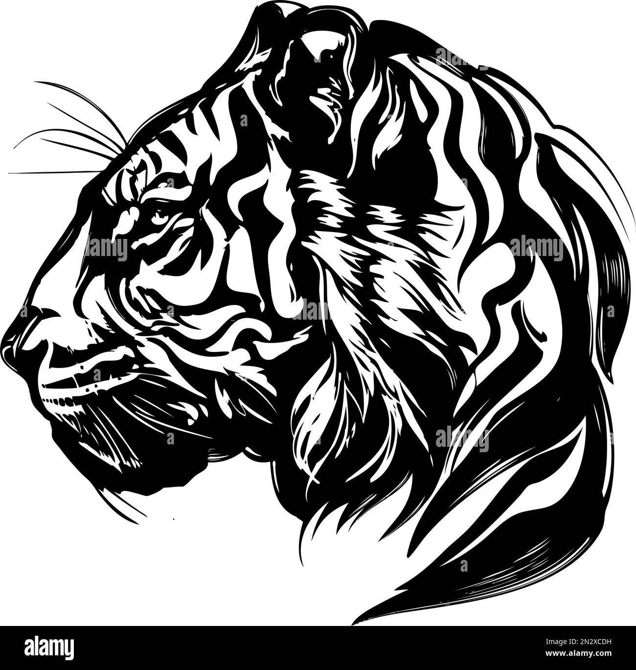 animal tiger, a large predatory cat, hand drawn vector illustration ...
