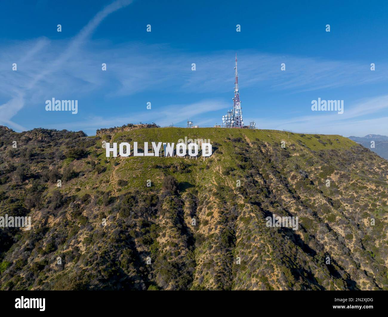 Hollywood, CA, USA. 4th Feb, 2023. February 04, 2023 - Hollywood, CA ...