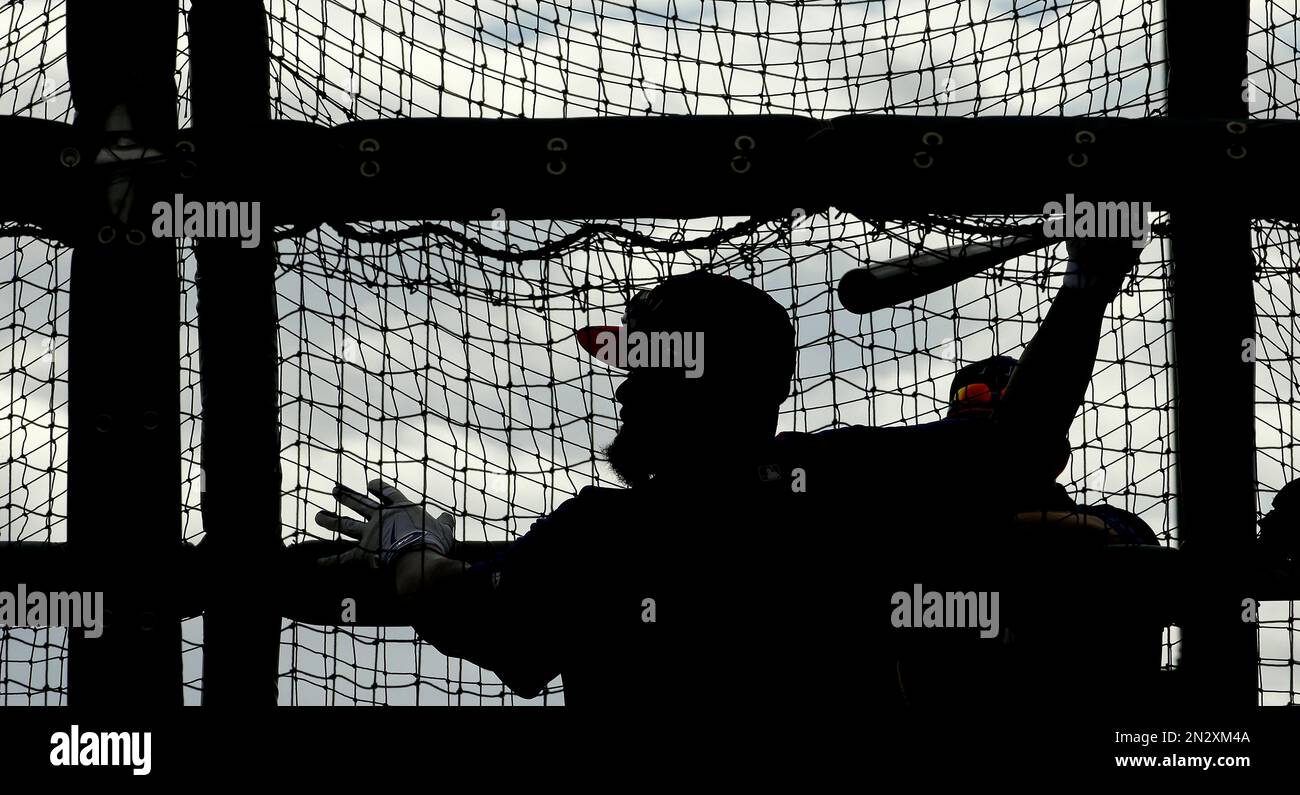 Texas Rangers' Prince Fielder takes batting practice during spring ...