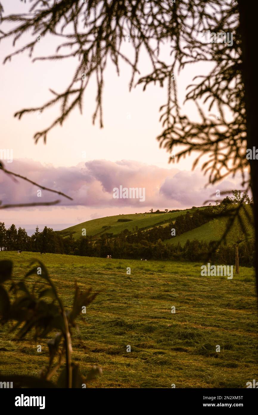 Prairie Field Sunset at Azores Stock Photo - Alamy