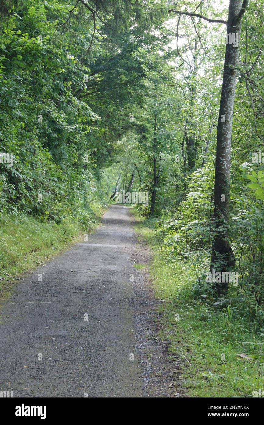 Der Weg ist das Ziel Stock Photo - Alamy