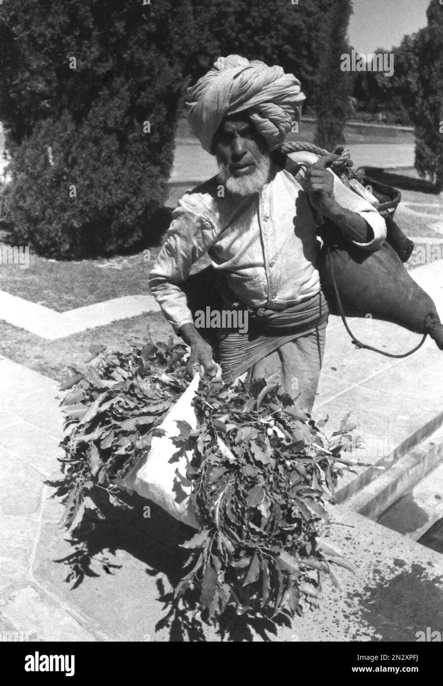 Here is a native Indian water-carrier in Agra, India, in 1936. He ...
