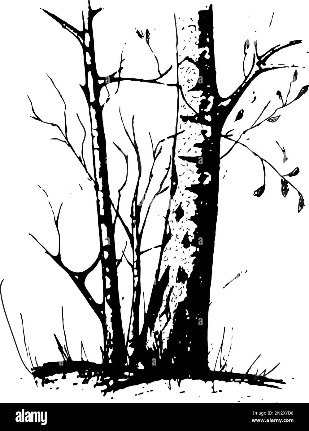 black tree silhouette isolated on white background, vector Stock Vector ...