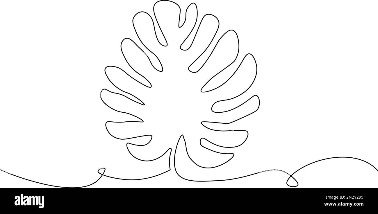 Monstera leaf - one line drawing. Continuous line. Hand-drawn ...