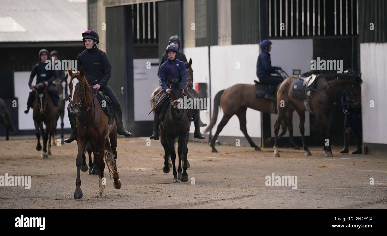 A general view of horses in the yard during a visit to Gordon Elliott's ...