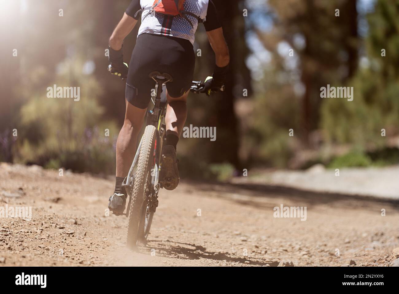 Mountain biker riding on bike singletrack trail, back view of mountain ...