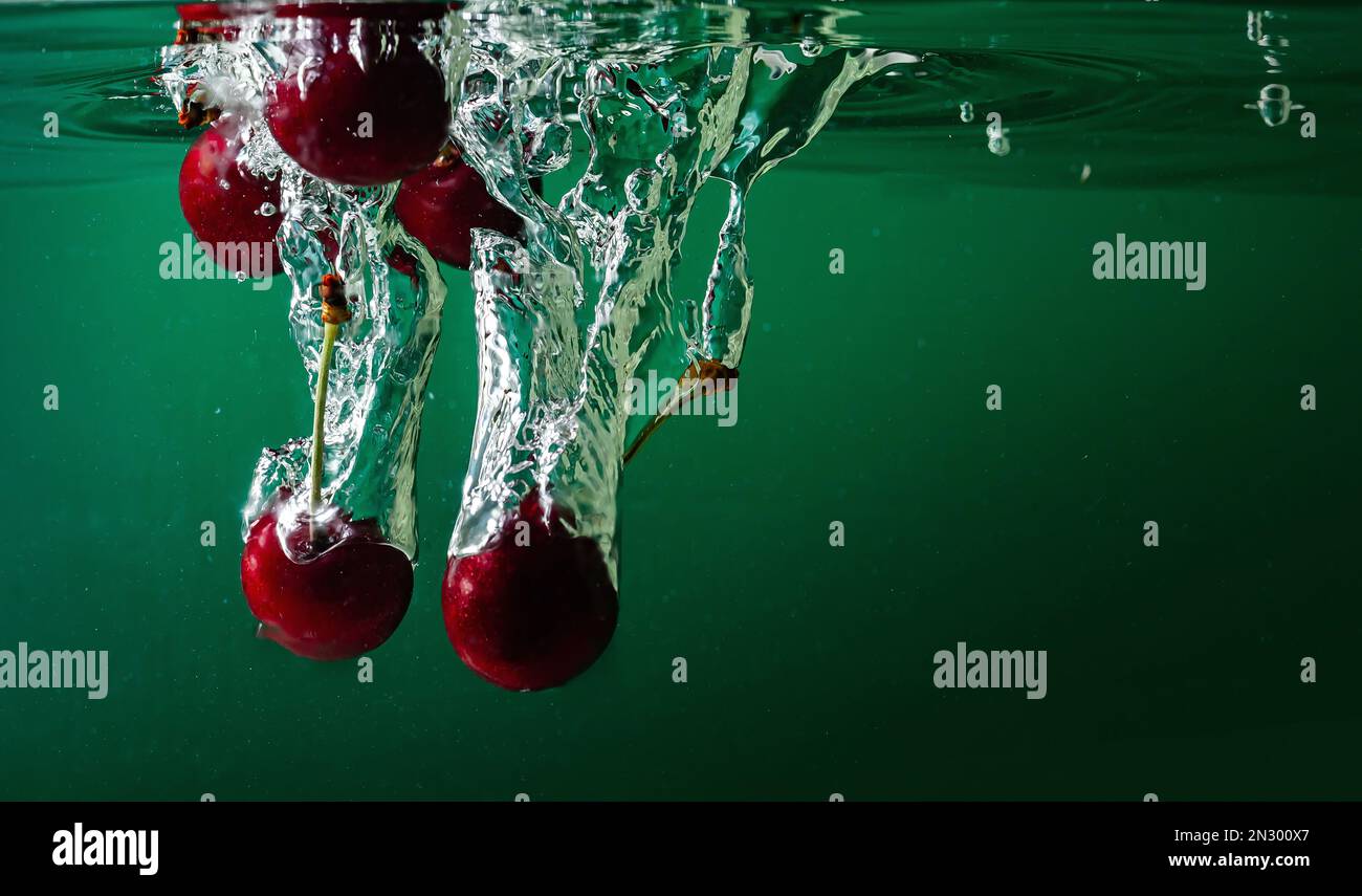 ripe cherries fall into the water raising splashes and air bubbles ...