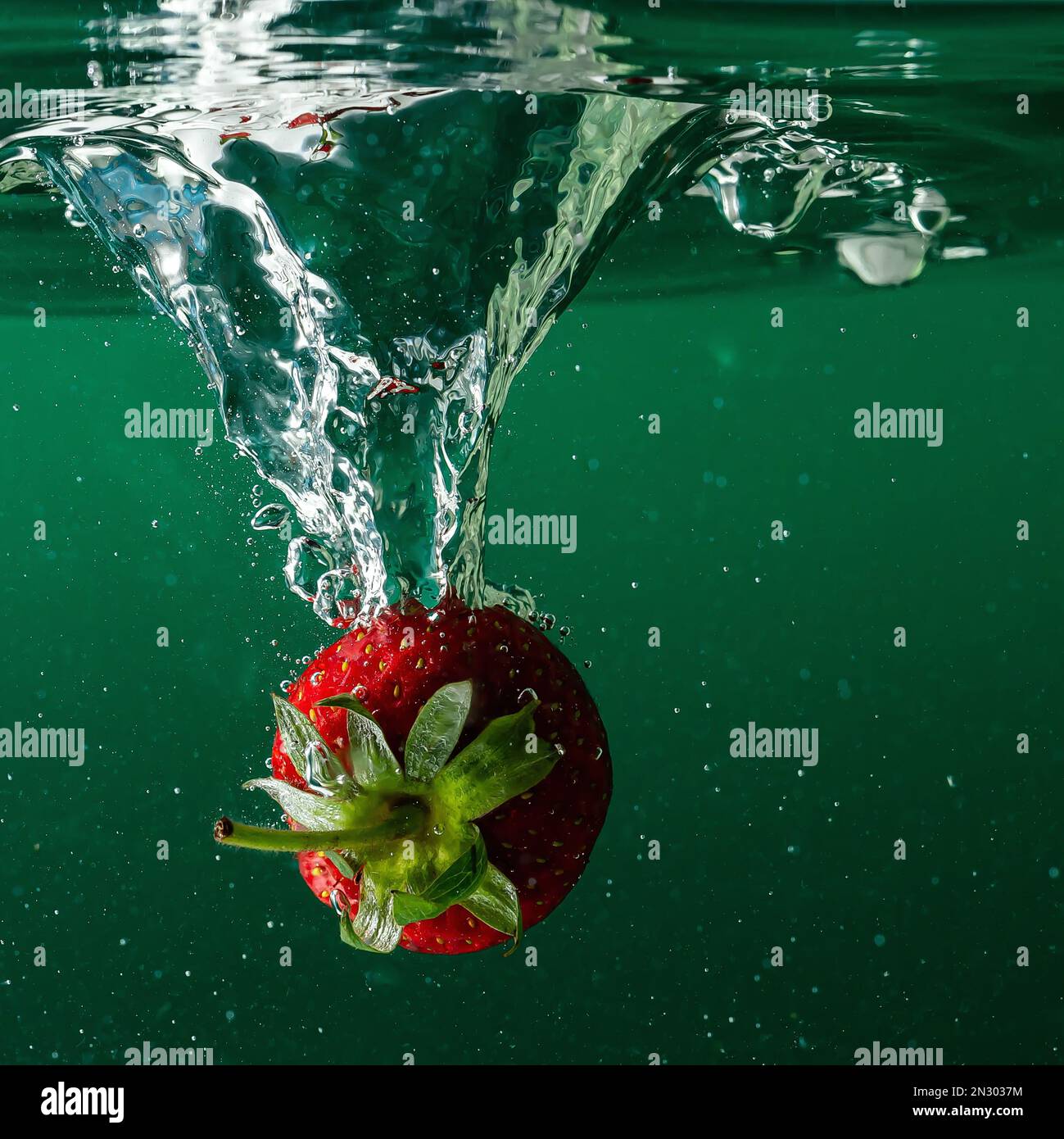 ripe strawberries fall into the water lifting splashes and air bubbles ...