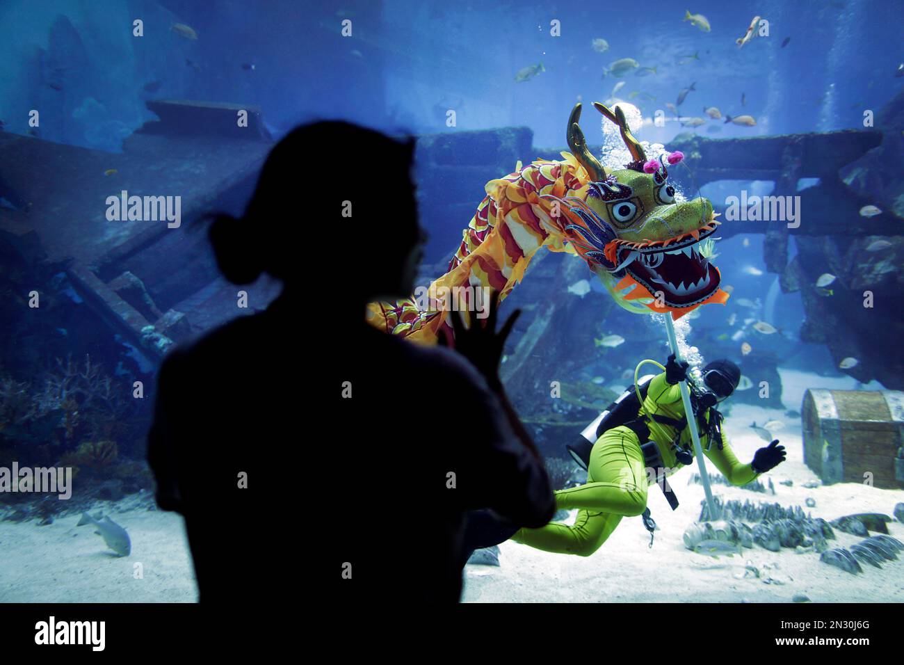 Divers perform a "dragon dance" underwater at the South East Asia ...