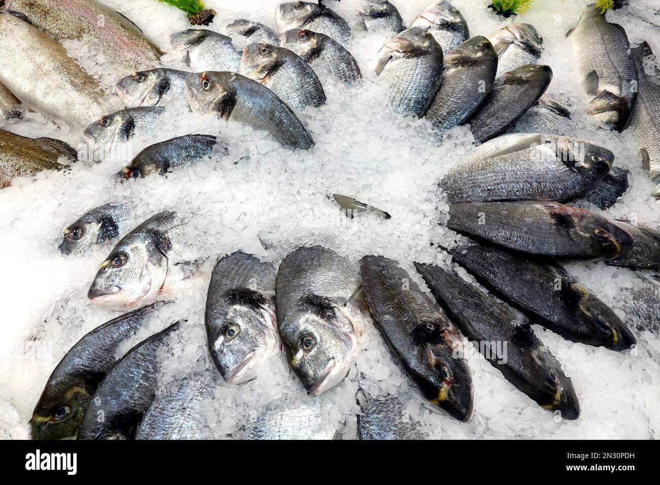 Chilled foods hi-res stock photography and images - Alamy