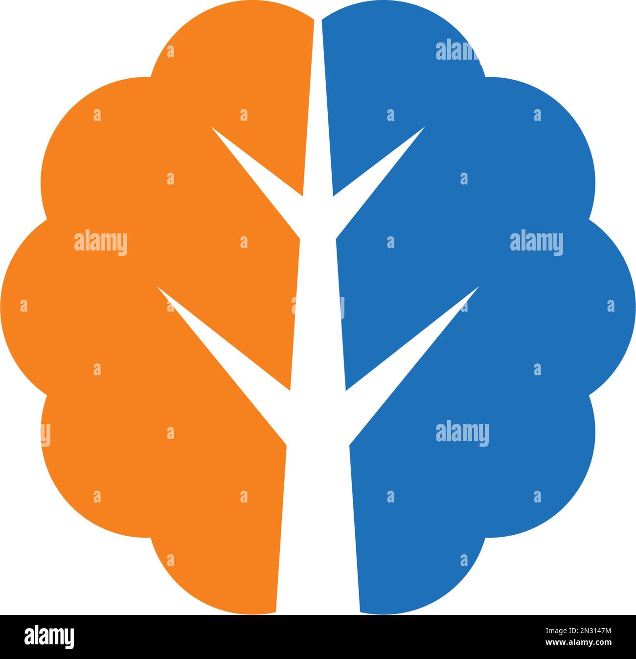 Plant anatomy vector vectors Stock Vector Images - Alamy