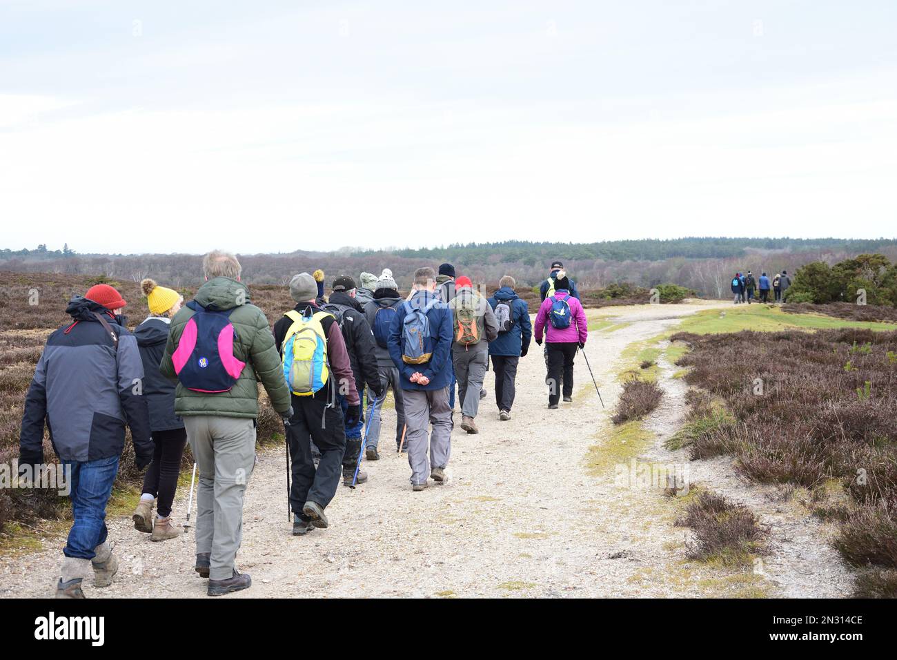 Group hiking in the Forest Stock Photo - Alamy