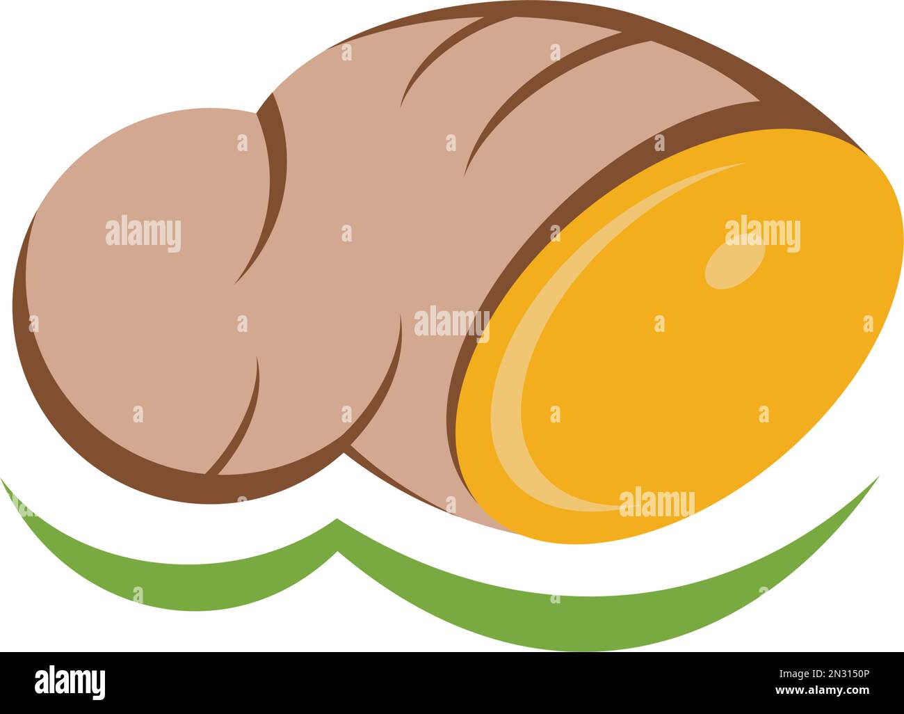 turmeric illustration logo vector design element Stock Vector Image ...