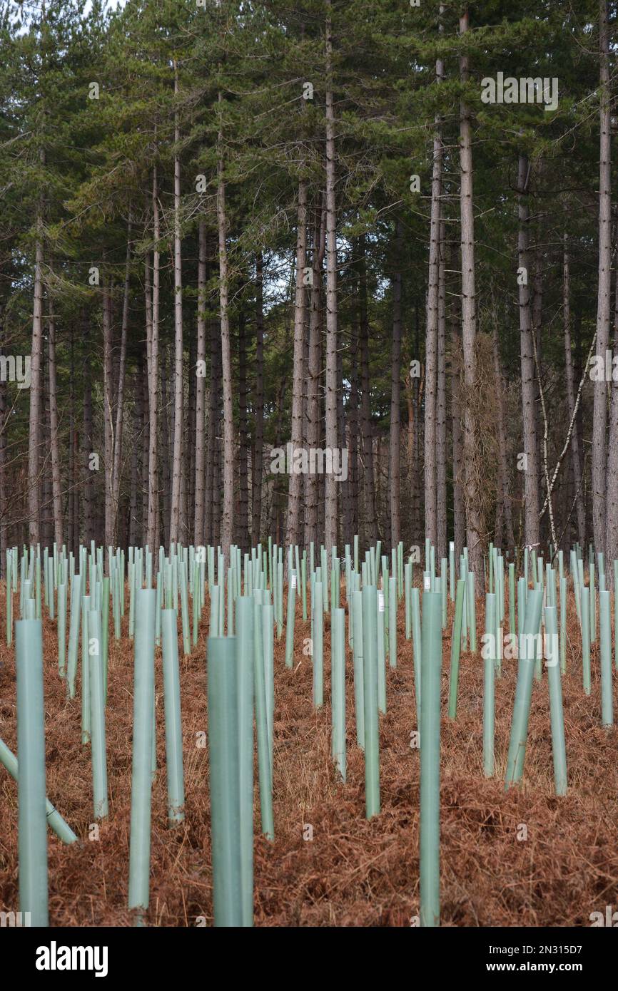 Protecting tubing hi-res stock photography and images - Alamy