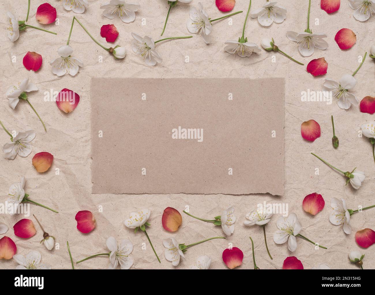 Decorative frame of cherry blossom flowers and red rose petals on old ...