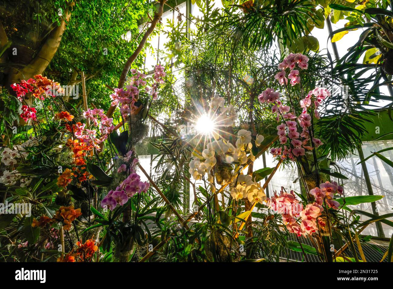 Scenographie vegetale hi-res stock photography and images - Alamy