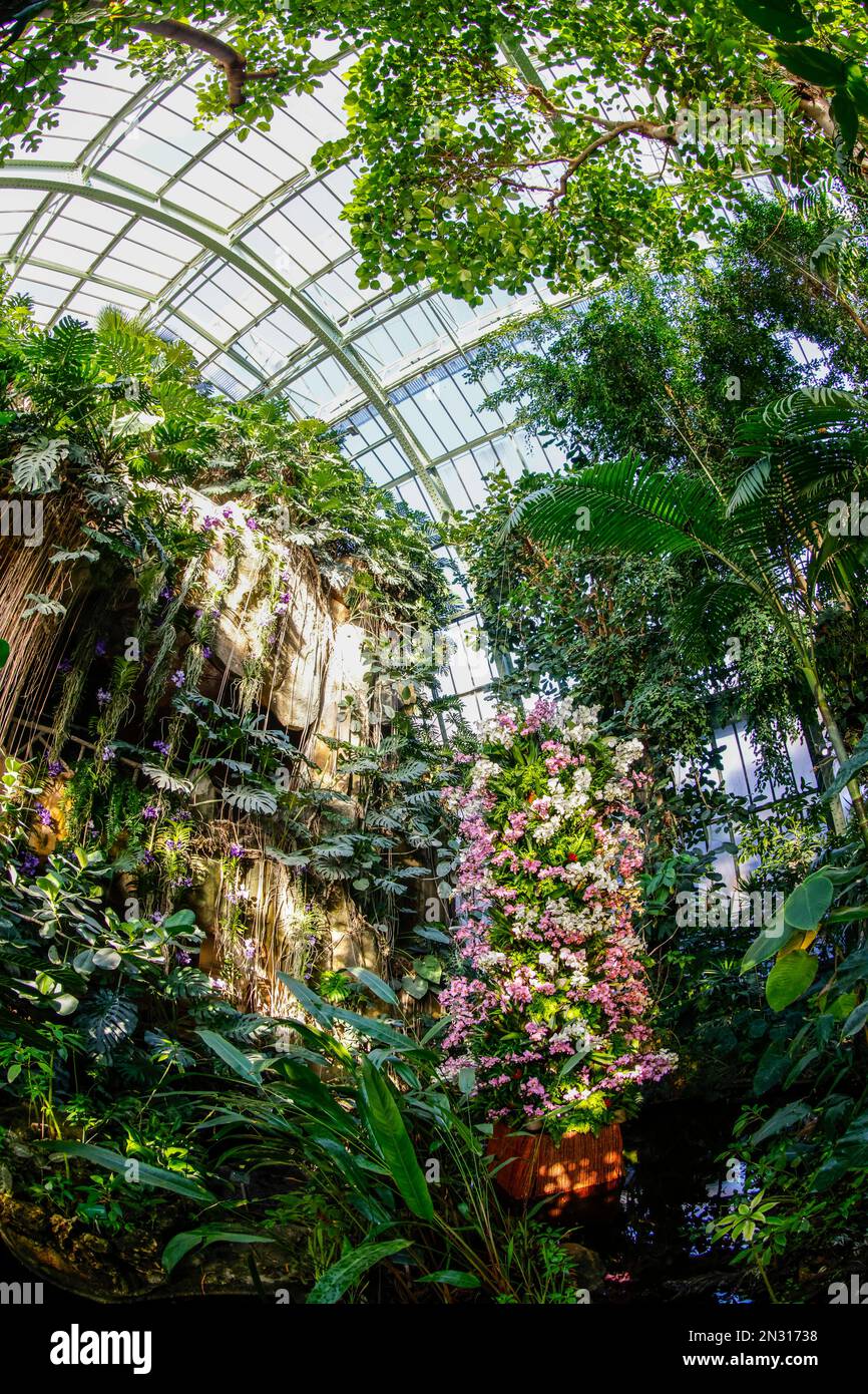 Scenographie vegetale hi-res stock photography and images - Alamy