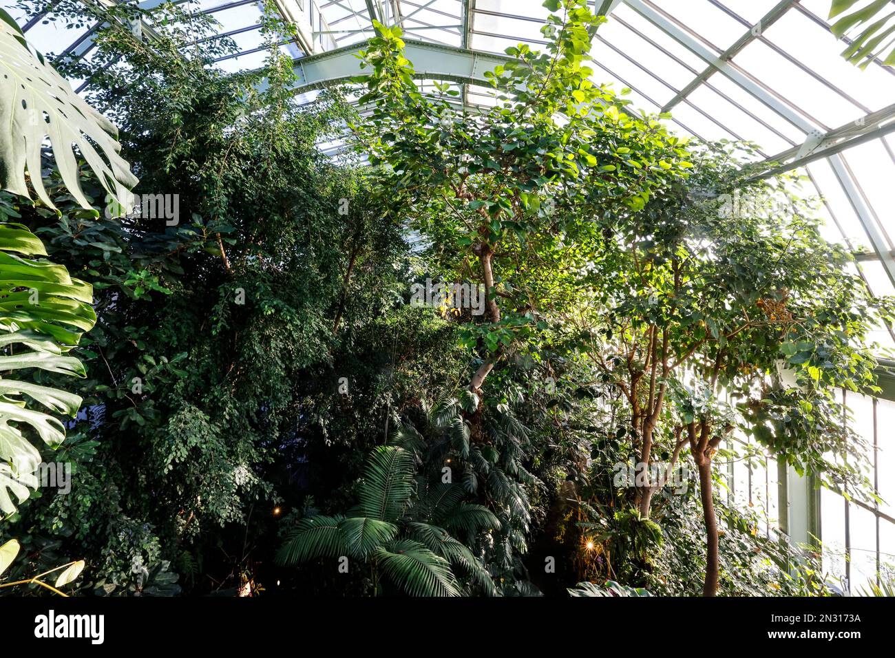 Scenographie vegetale hi-res stock photography and images - Alamy