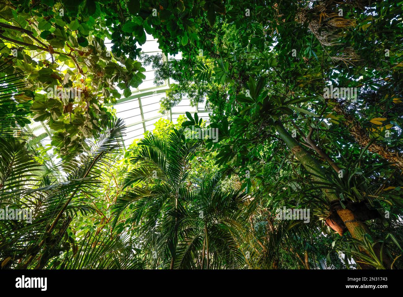 Scenographie vegetale hi-res stock photography and images - Alamy