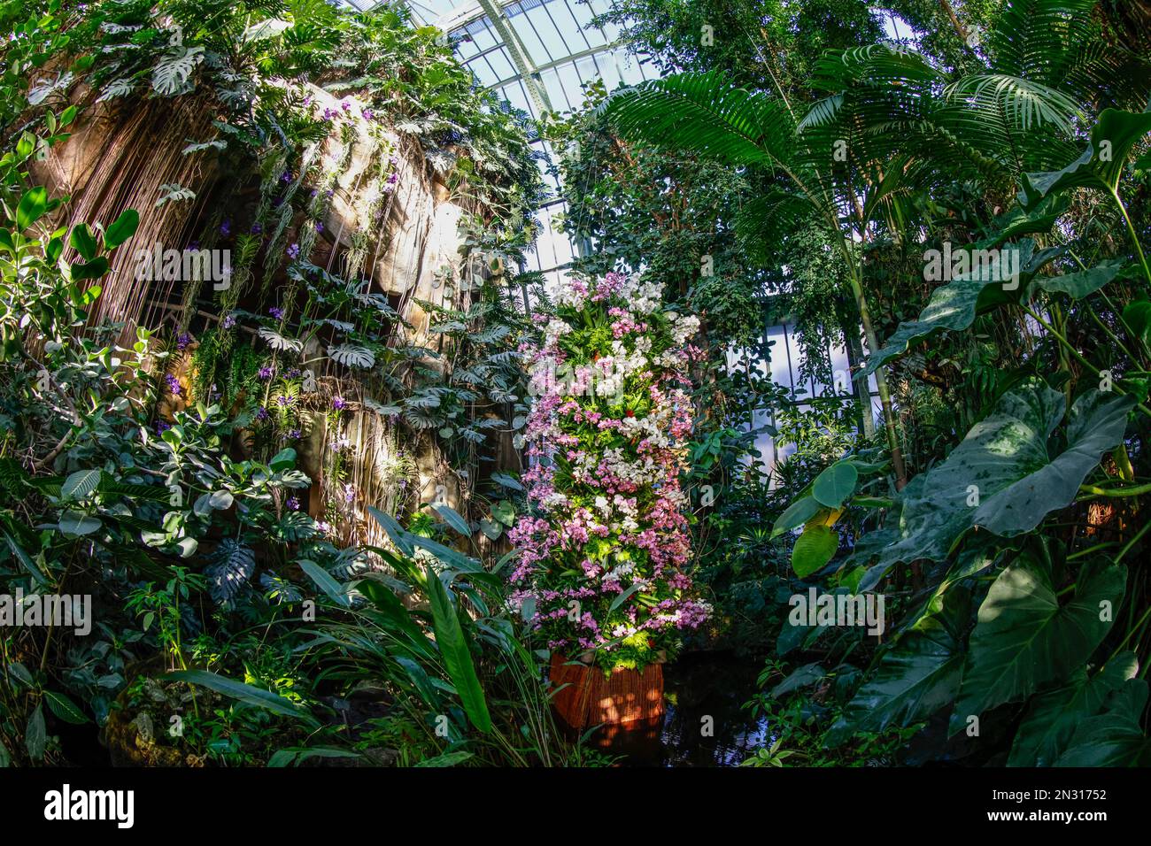 Scenographie vegetale hi-res stock photography and images - Alamy
