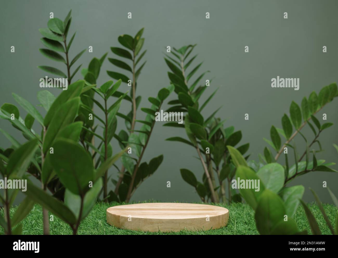 empty table top wood counter podium on grass tropic forest jungle plant ...