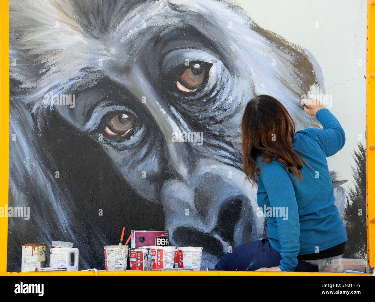 Artist Anat Ronen works on a mural featuring gorillas, Wednesday, Feb ...