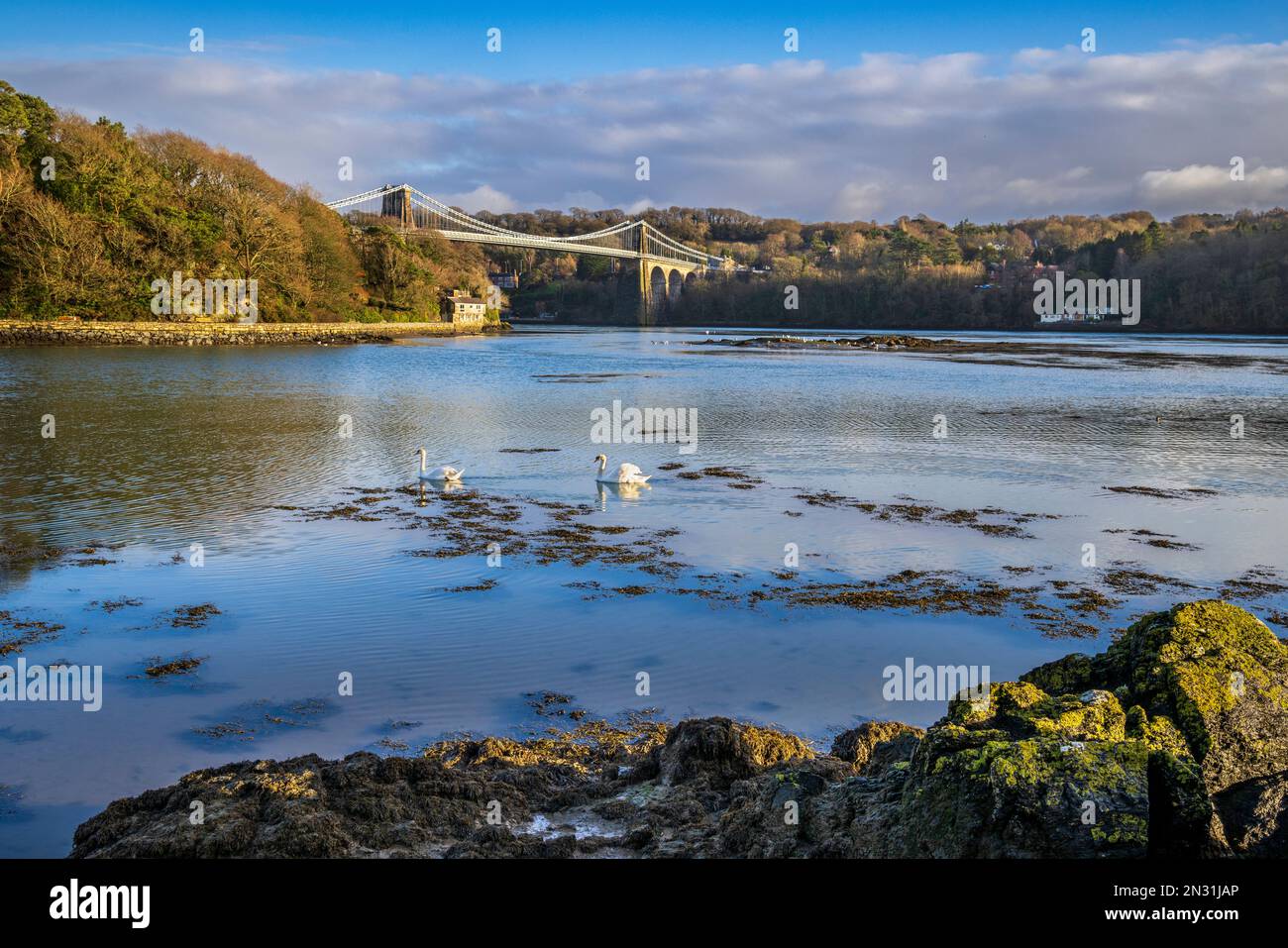 The Telford Bridge over the Menai Strait from the shore of Church ...