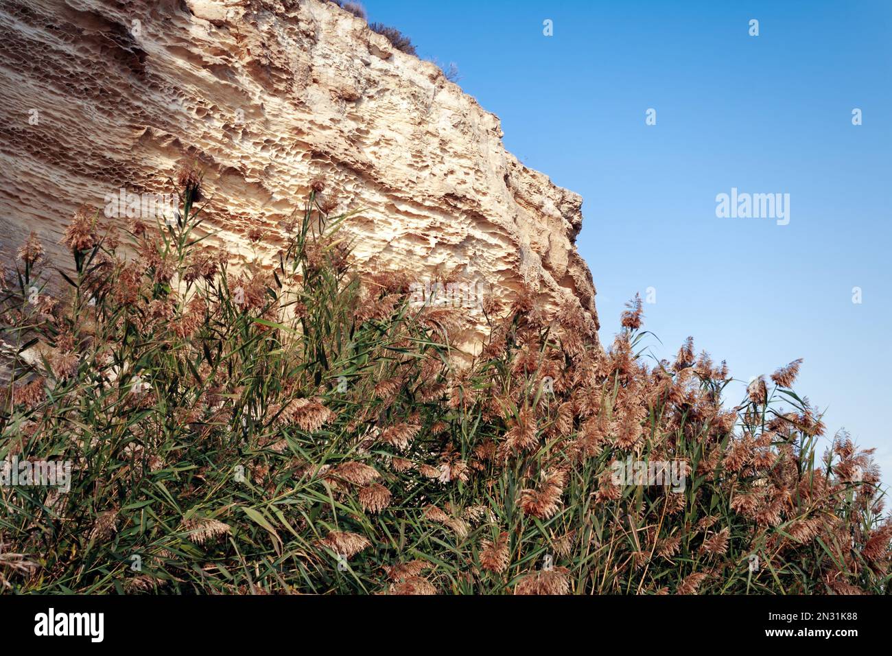 Beautiful scenery of seashore hi-res stock photography and images - Alamy