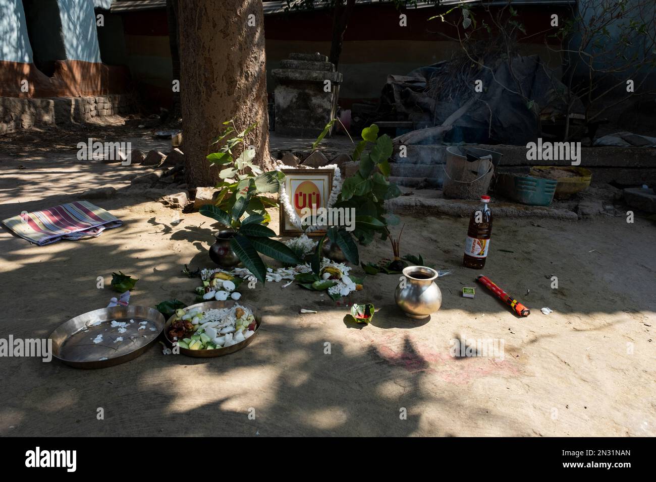 On the last full moon, Bidu Chandan Puja has been celebrated by Santan ...
