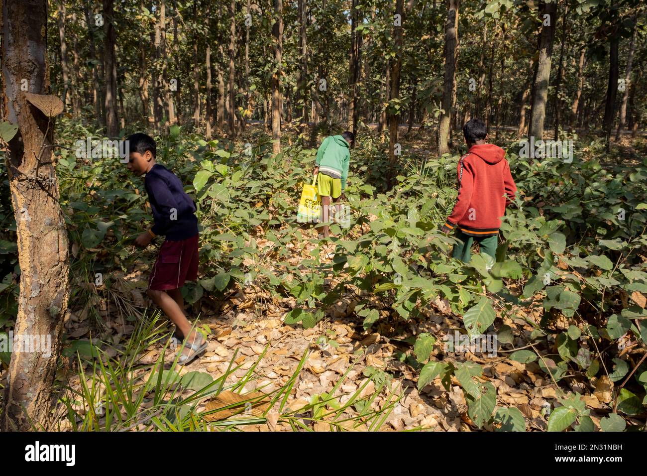 On the last full moon, Bidu Chandan Puja has been celebrated by Santan ...