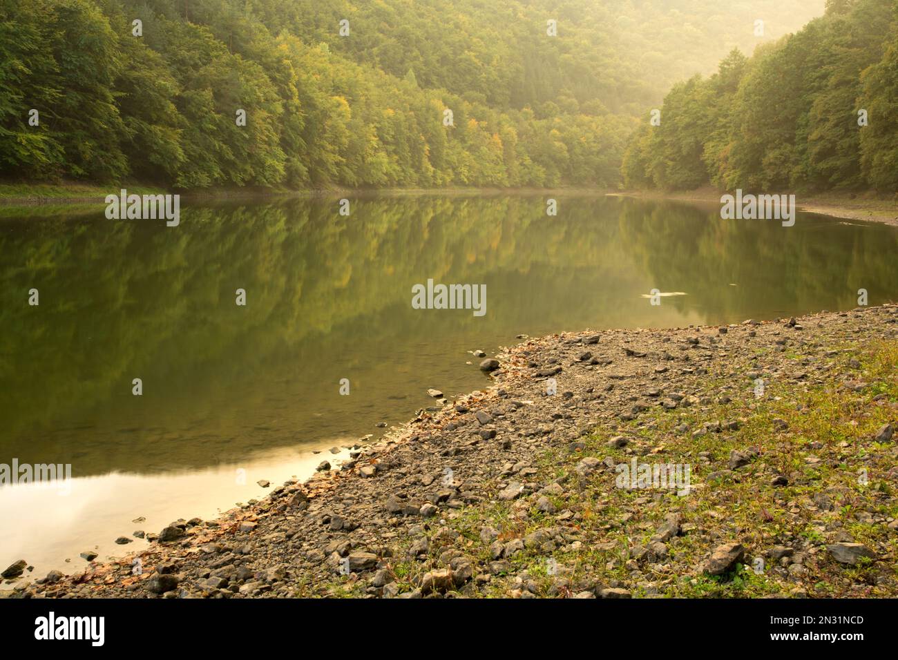 Reflection on shore forest hi-res stock photography and images - Alamy