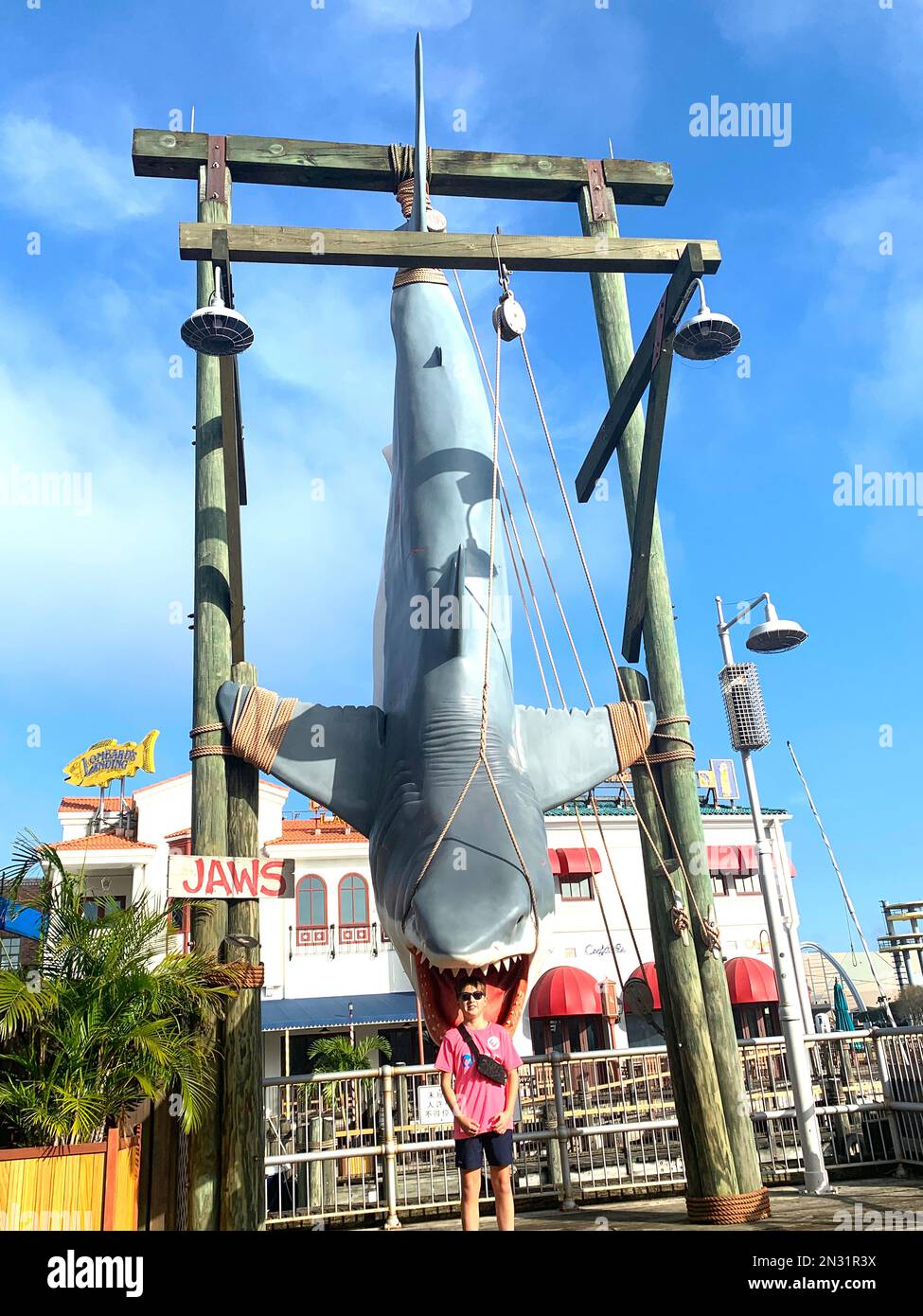 Jaws film boy hi-res stock photography and images - Alamy