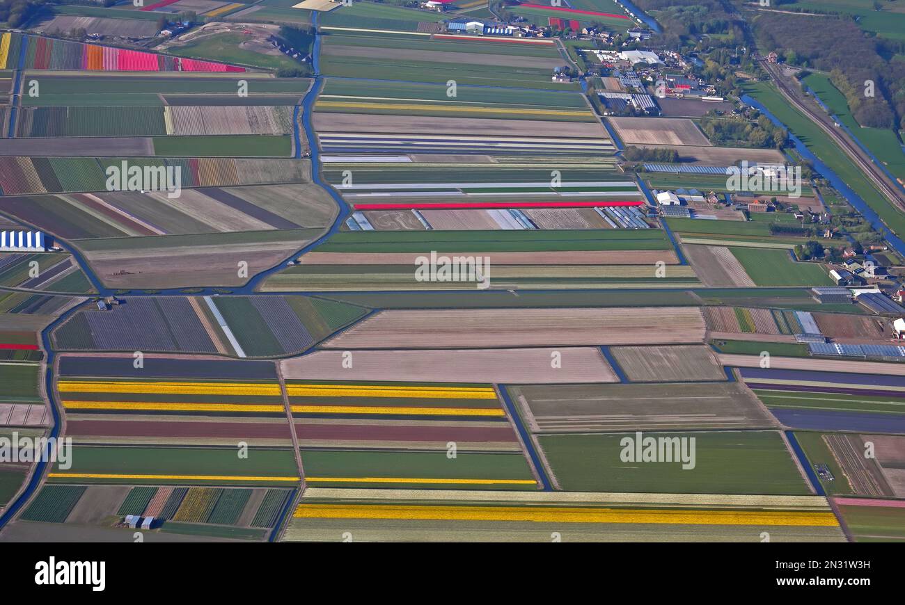 Dutch flower fields from the air near Amsterdam, Netherlands May Stock ...