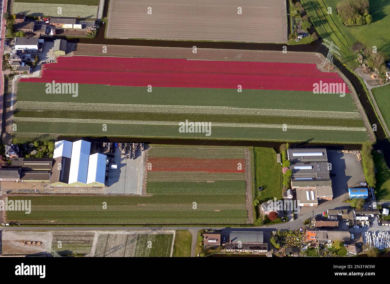 Dutch flower fields from the air near Amsterdam, Netherlands May Stock ...