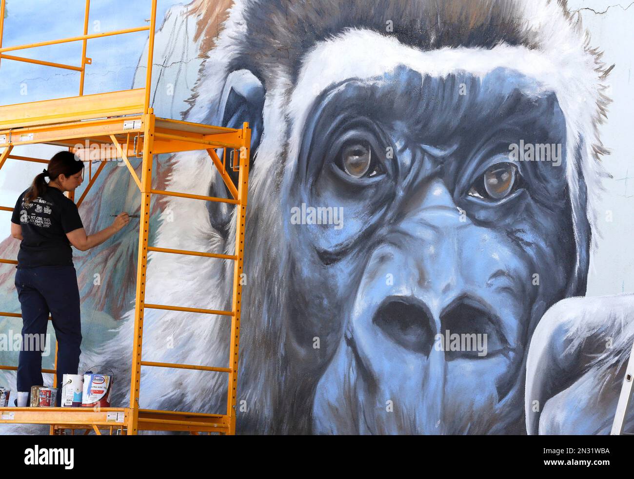 Artist Anat Ronen works on a mural featuring a gorilla Monday, Feb. 9 ...