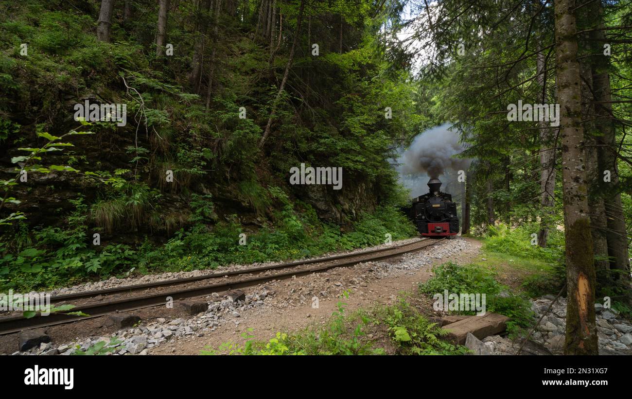 Vintage steam train chugging through the Carpathians Mountains in ...