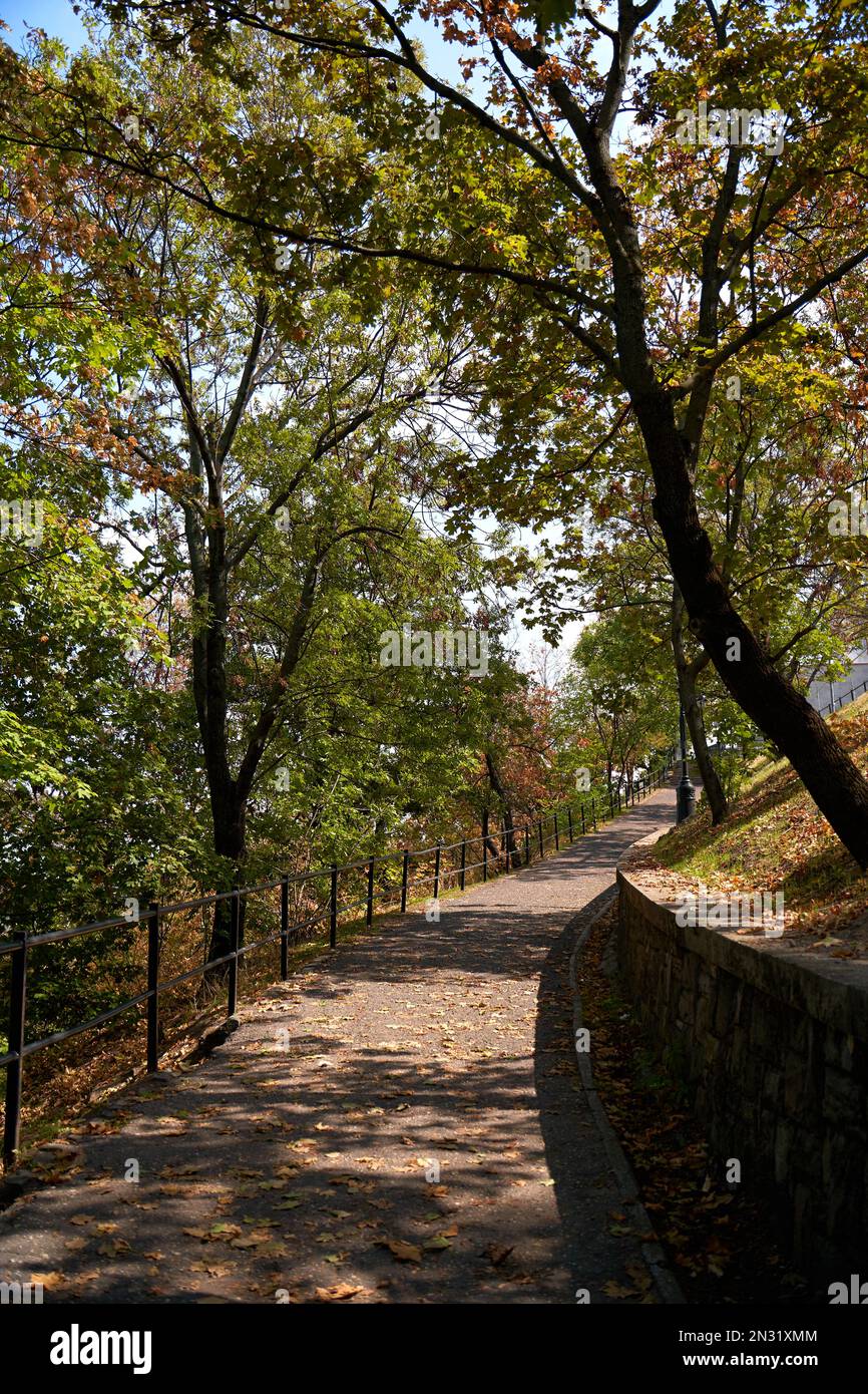 The path is fenced and covered with leaves in the city recreation park ...