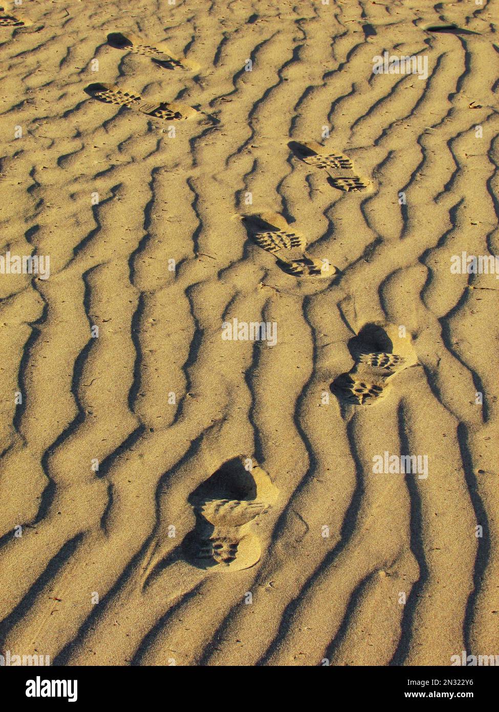 Footprints in sand covered in wind ripples Stock Photo - Alamy