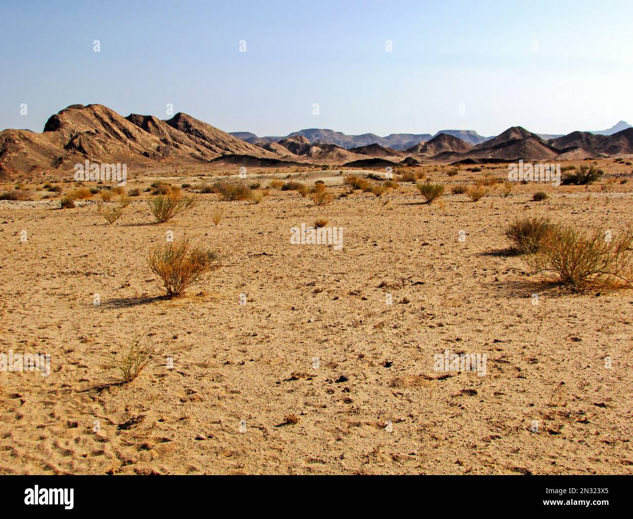 The barren, windswept valley floor of the Fish River Canyon in Namibia ...