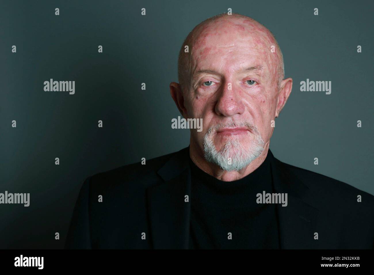 "Better Call Saul" actor Jonathan Banks poses for a portrait in ...