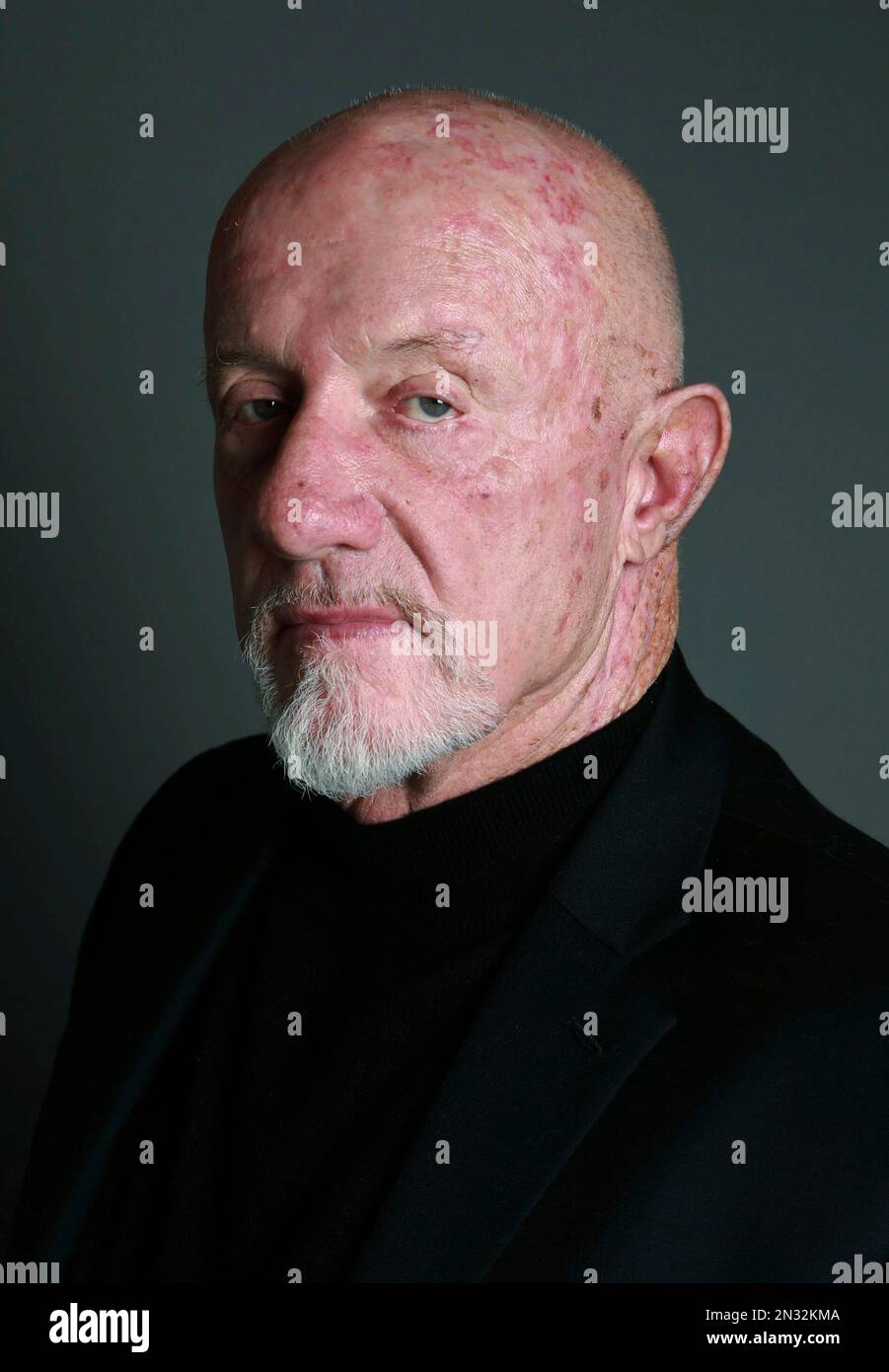 "Better Call Saul" actor Jonathan Banks poses for a portrait in ...