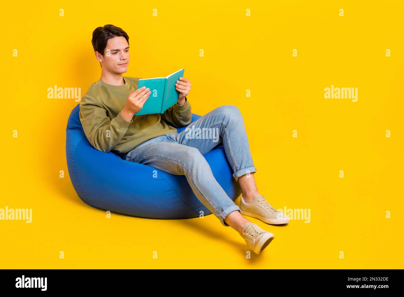 Full length portrait of intelligent peaceful person sit cozy bag read ...