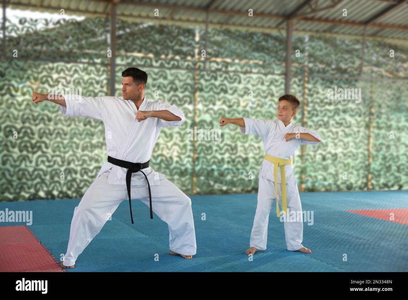 Boy and coach practicing karate at outdoor gym Stock Photo - Alamy