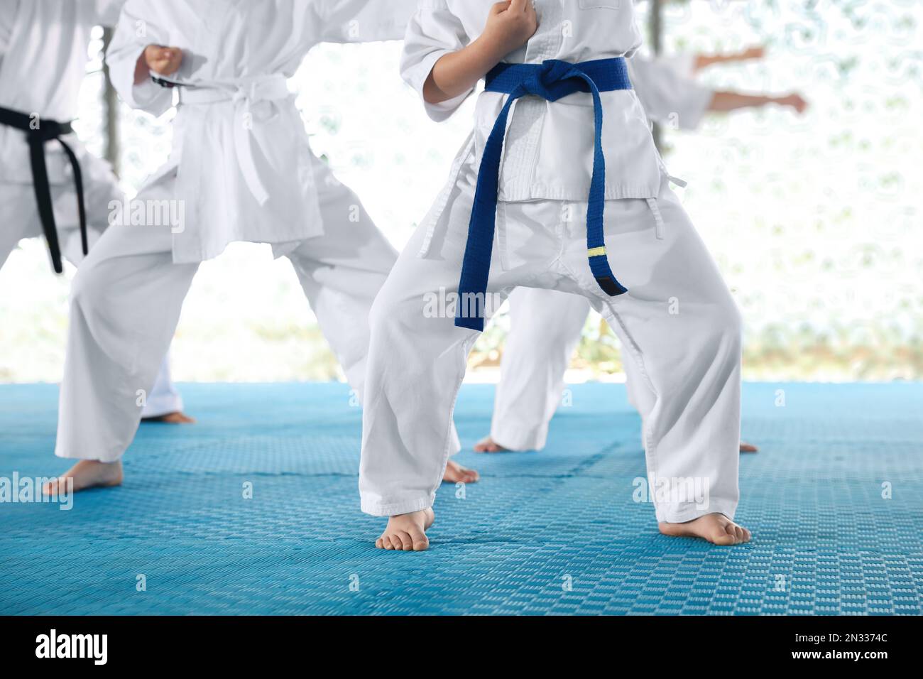 Children in kimono practicing karate on tatami outdoors, closeup Stock ...