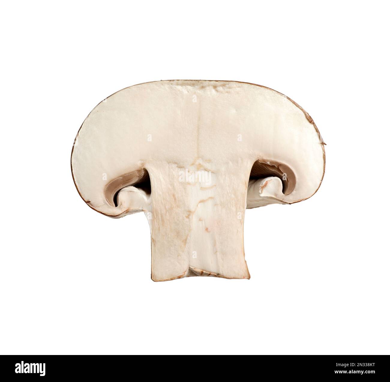 Slice of champignon mushroom isolated on white Stock Photo - Alamy